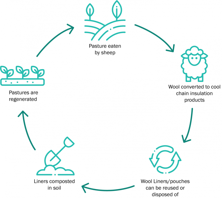 How to Dispose of Your Wool Insulation - Thermogard